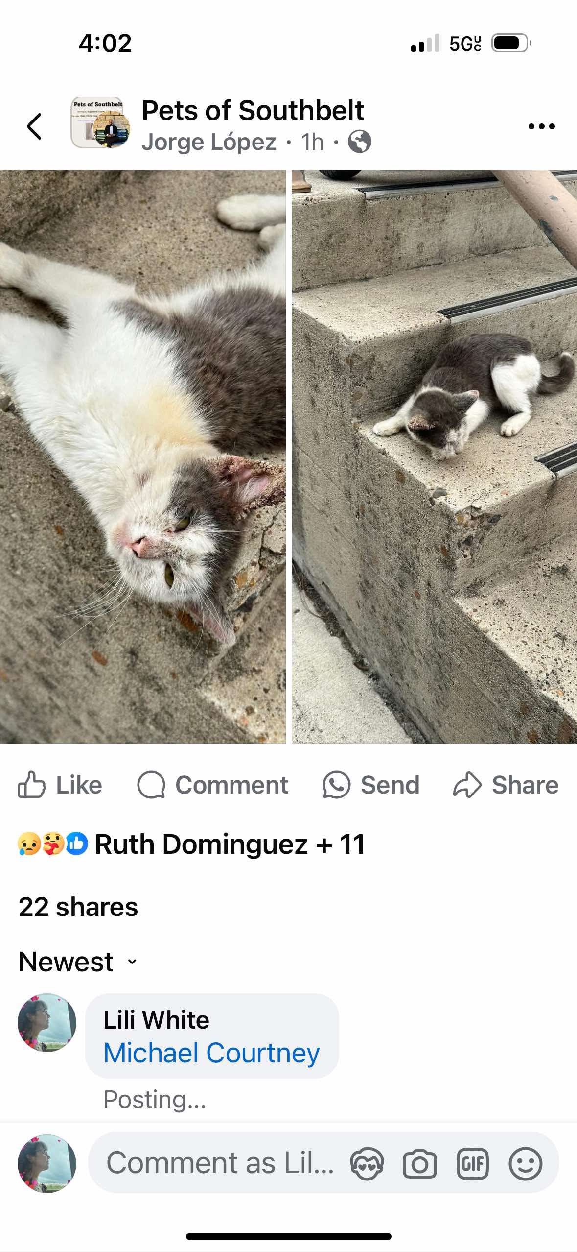 Donate to Leah | Support animal welfare with CUDDLY