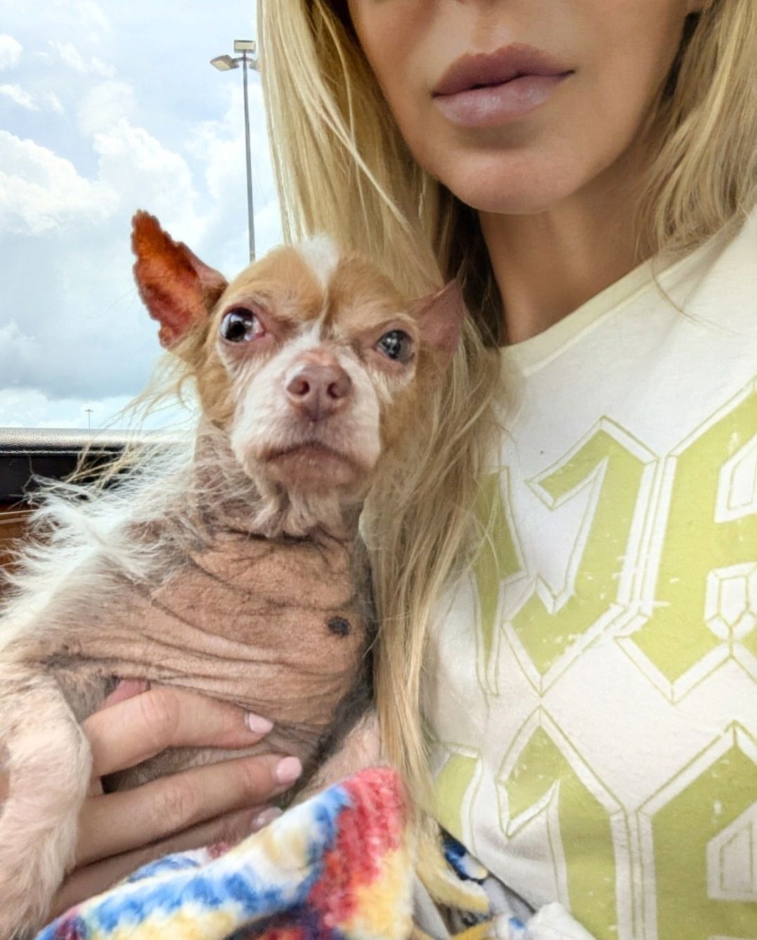 Donate to Piccolo | Support animal welfare with CUDDLY