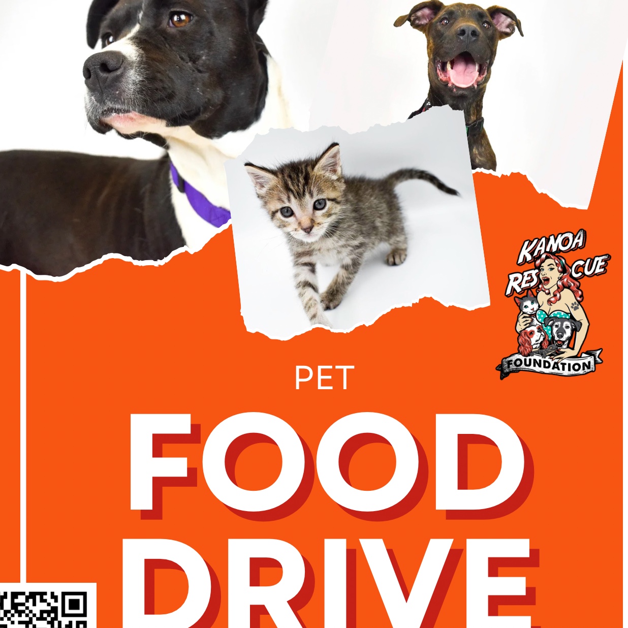 Donate to Pet Food Drive | Support animal welfare with CUDDLY