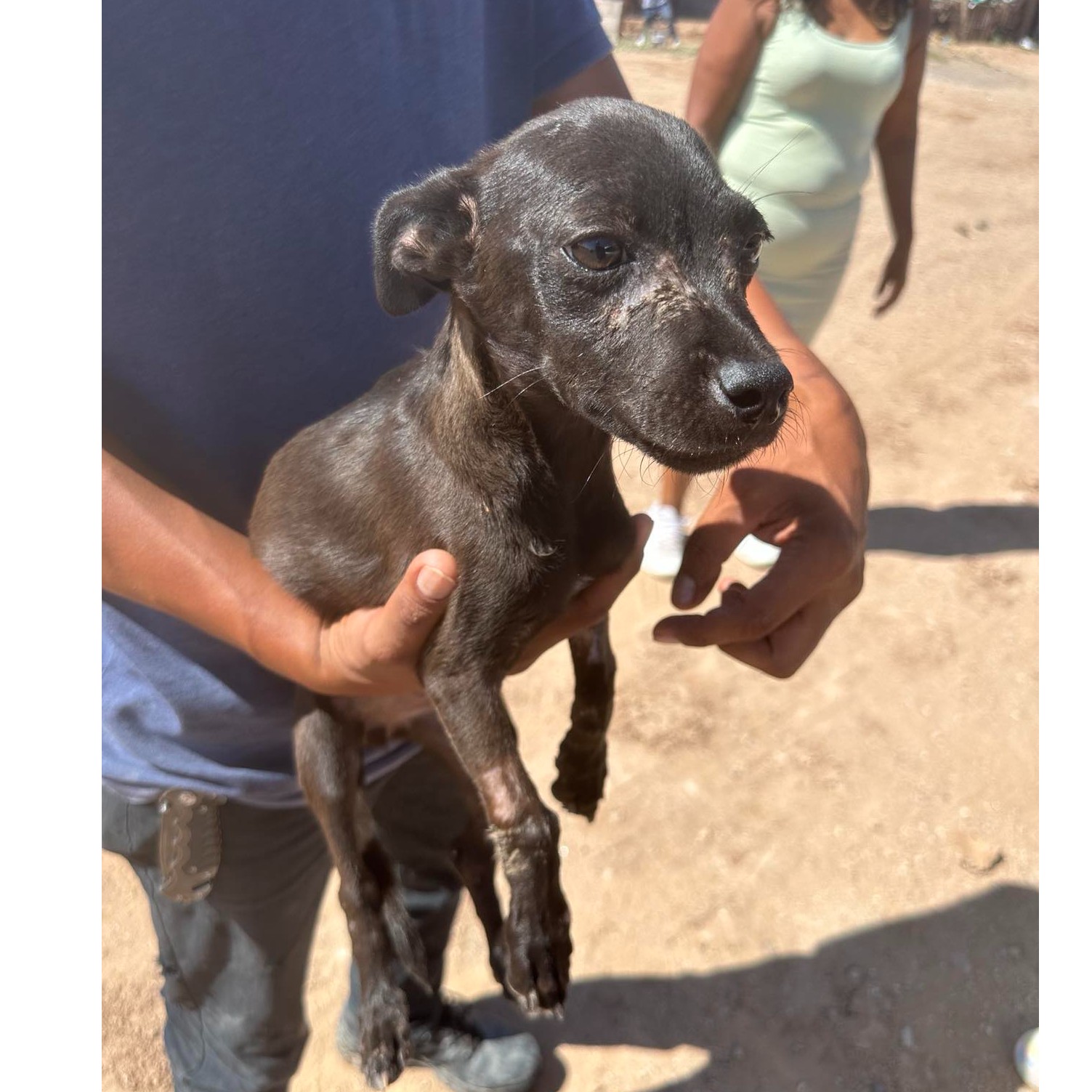 Donate to Perla | Support animal welfare with CUDDLY