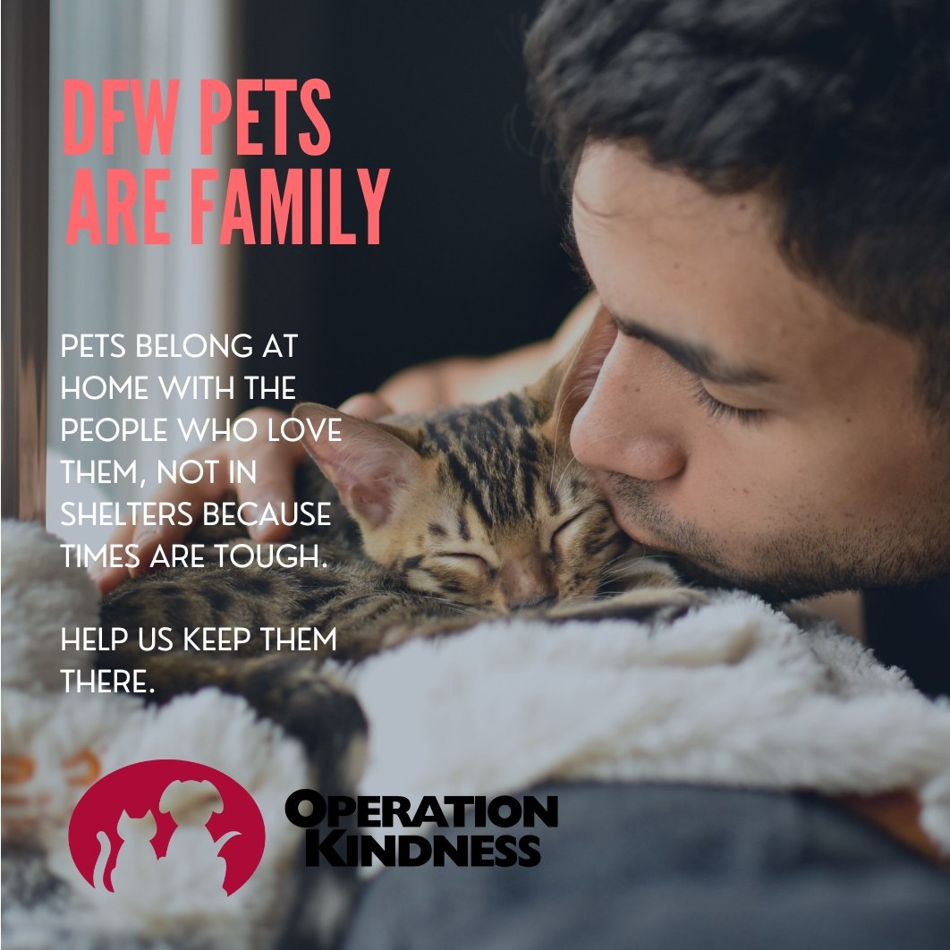This March, Help Us Keep Pet Families Together By Supporting The DFW ...