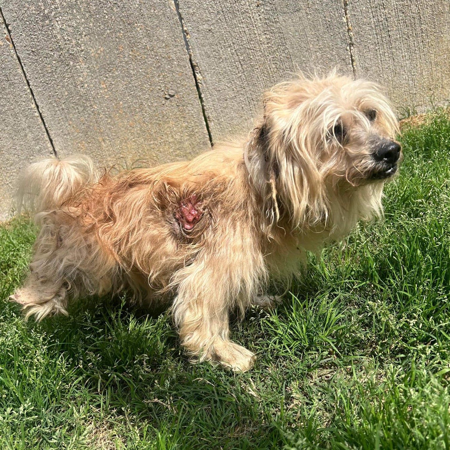 Donate to Monkey | Support animal welfare with CUDDLY