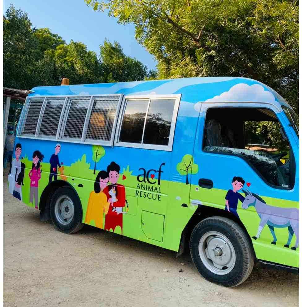 Donate to Rescue Van | Support animal welfare with CUDDLY