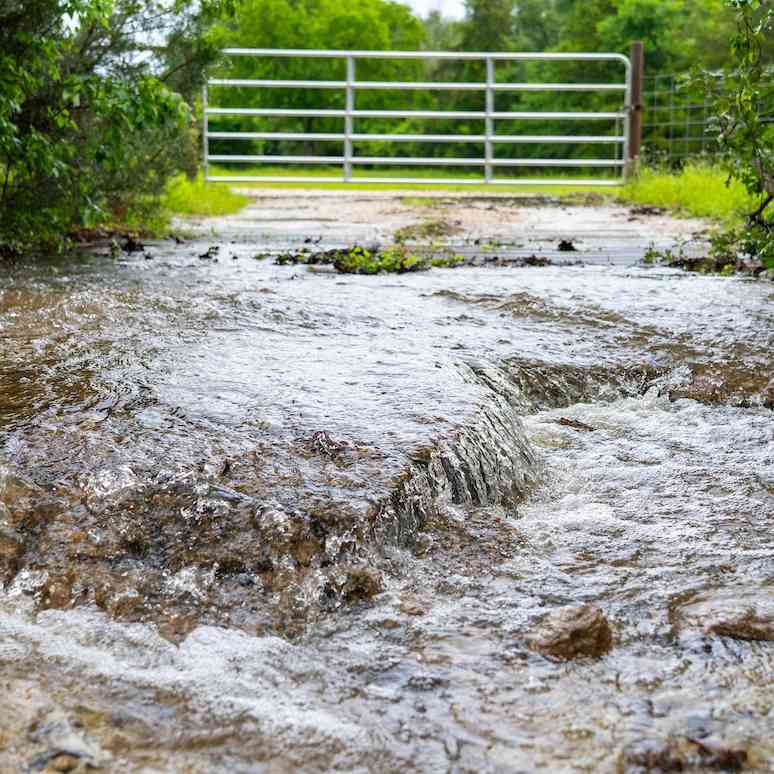 Donate to Farm Animals Affected By Hurricane Helene | Support animal ...