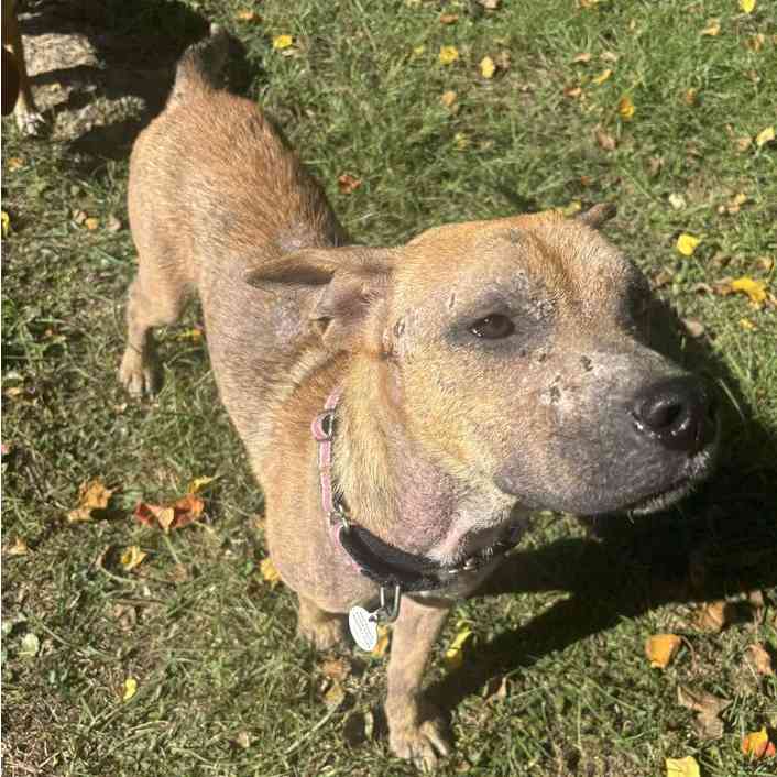 Donate to Matilda | Support animal welfare with CUDDLY