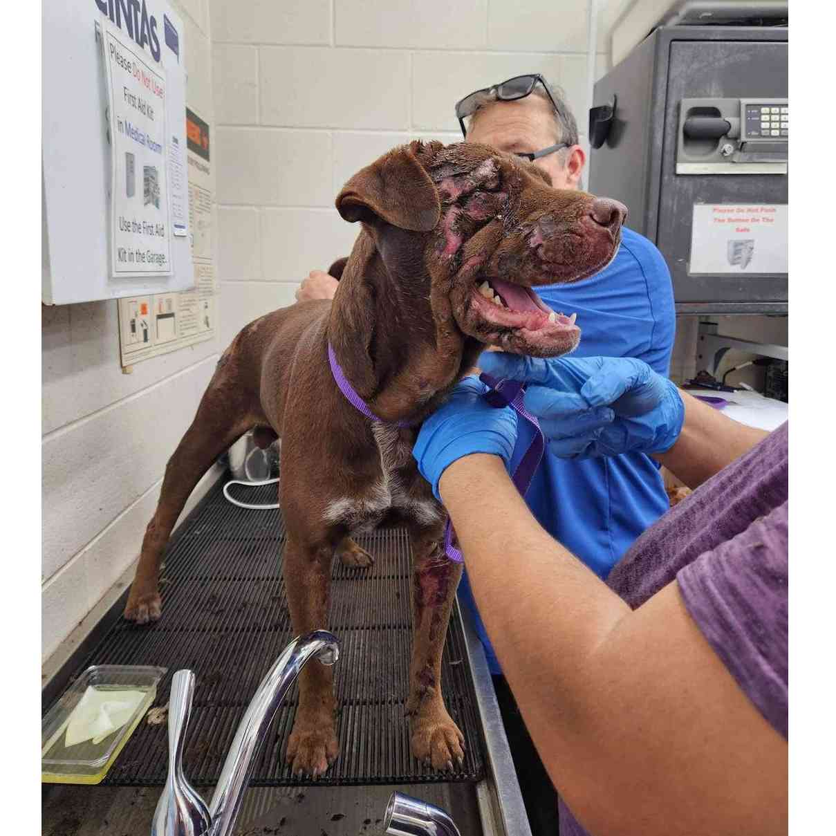 Donate to Ricky | Support animal welfare with CUDDLY