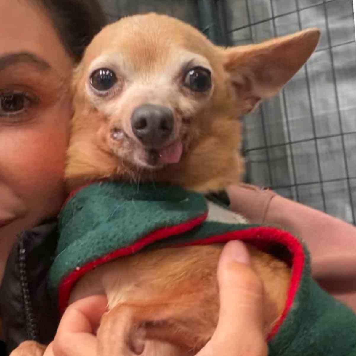 Donate to Axel | Support animal welfare with CUDDLY