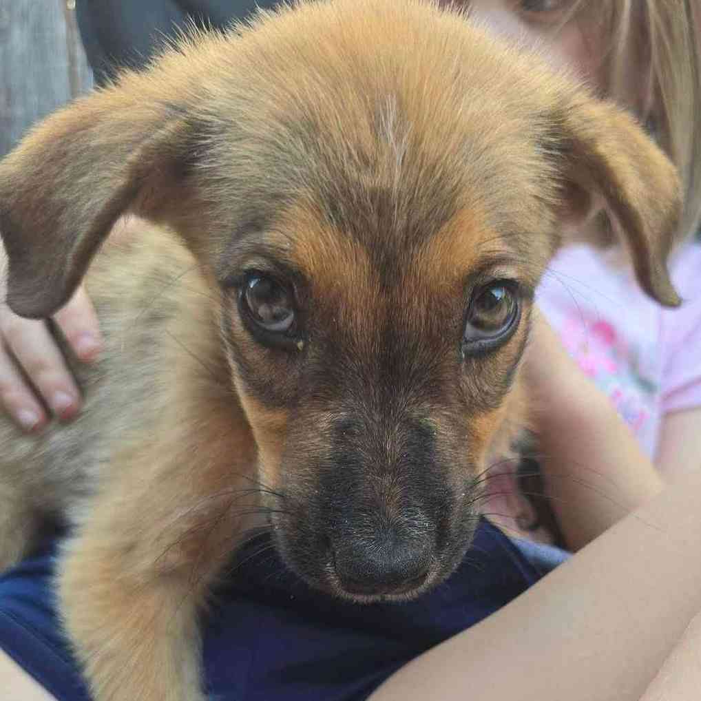 Donate to Gabriel | Support animal welfare with CUDDLY