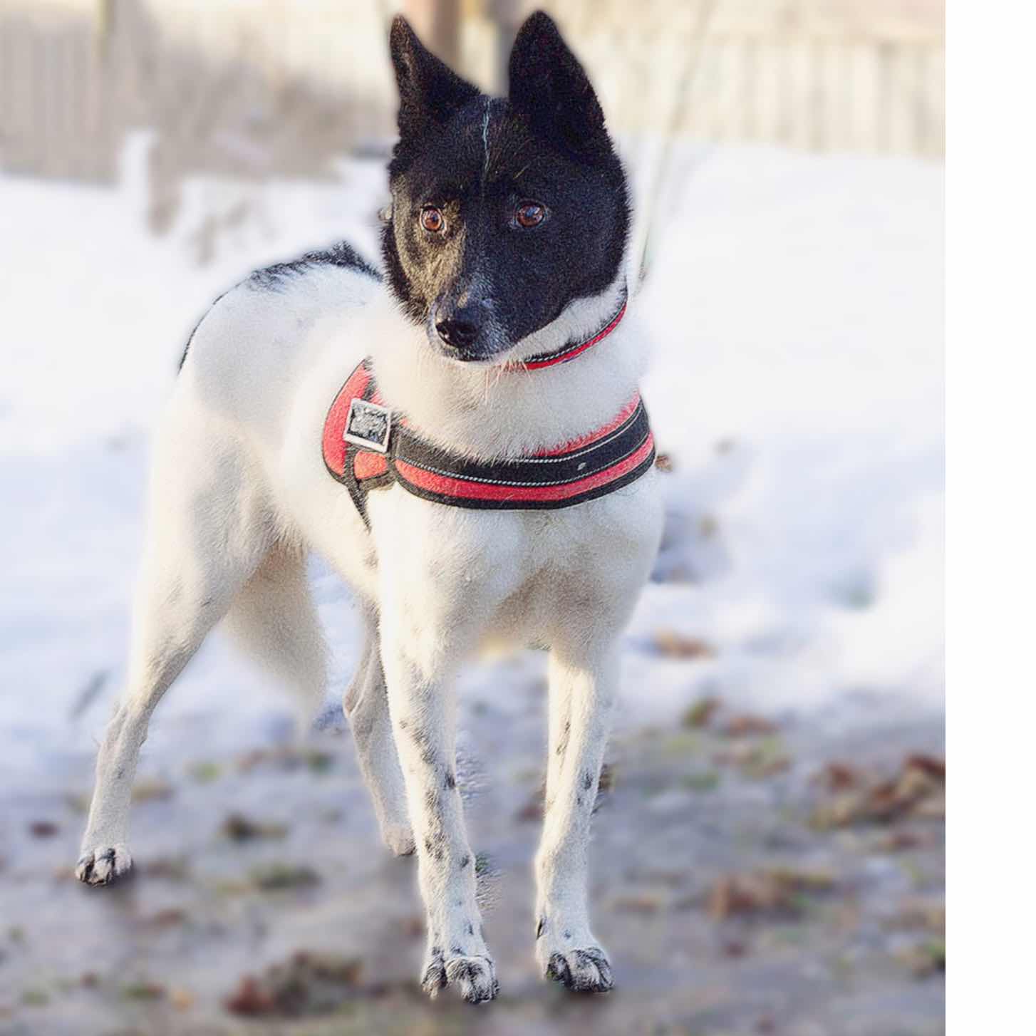 We Can’t Protect Them Without Your Help