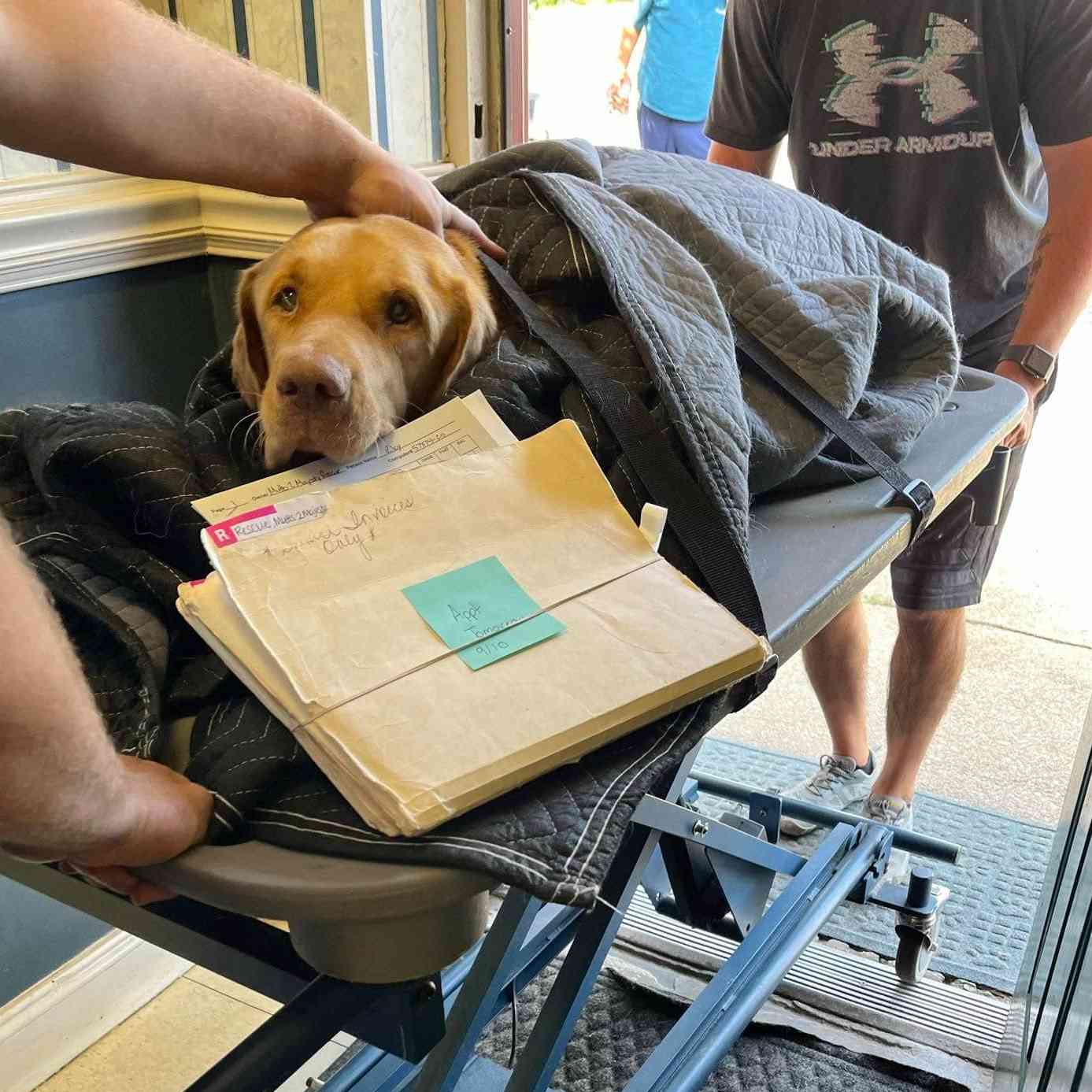 Donate to Save Our Drowning Rescue | Support animal welfare with CUDDLY