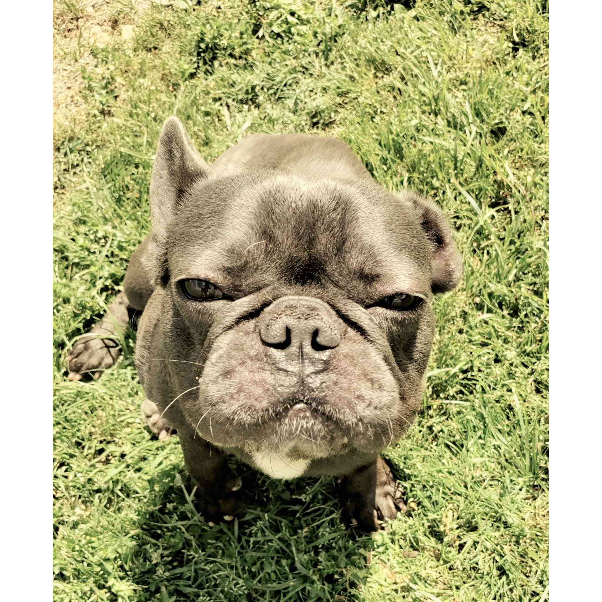 Donate to Wally | Support animal welfare with CUDDLY