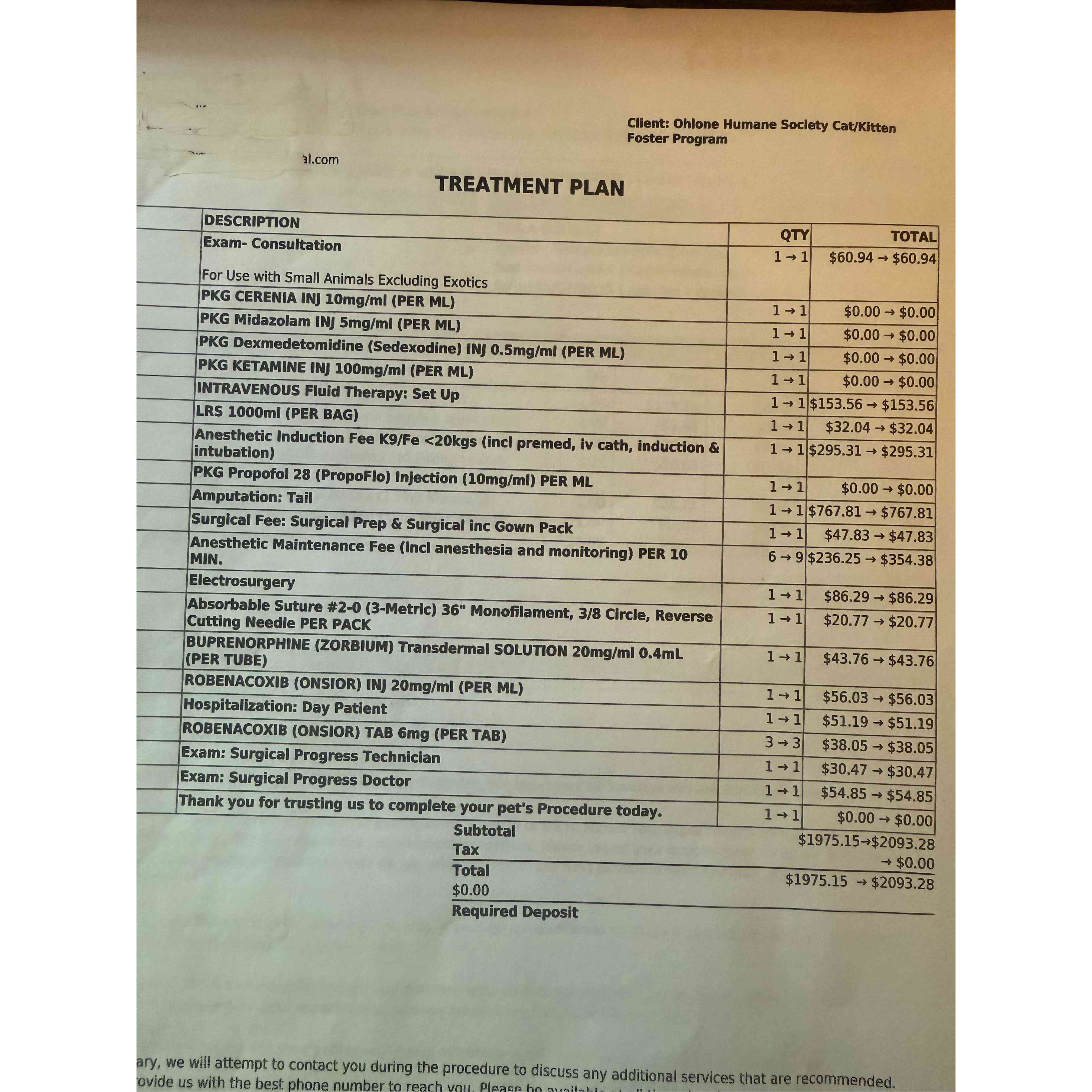 Donate to Ellie | Support animal welfare with CUDDLY