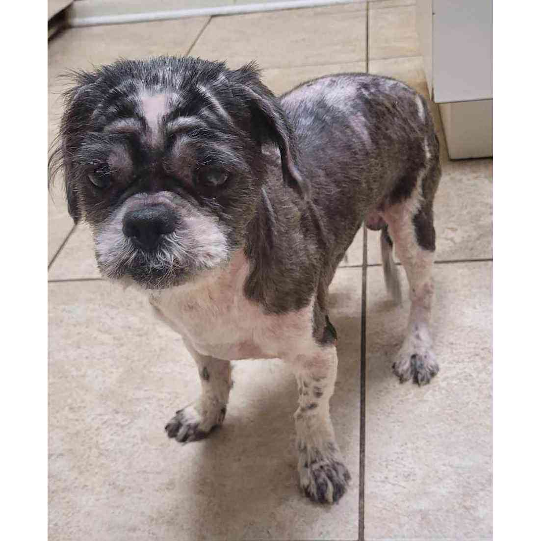 Donate to Rick | Support animal welfare with CUDDLY